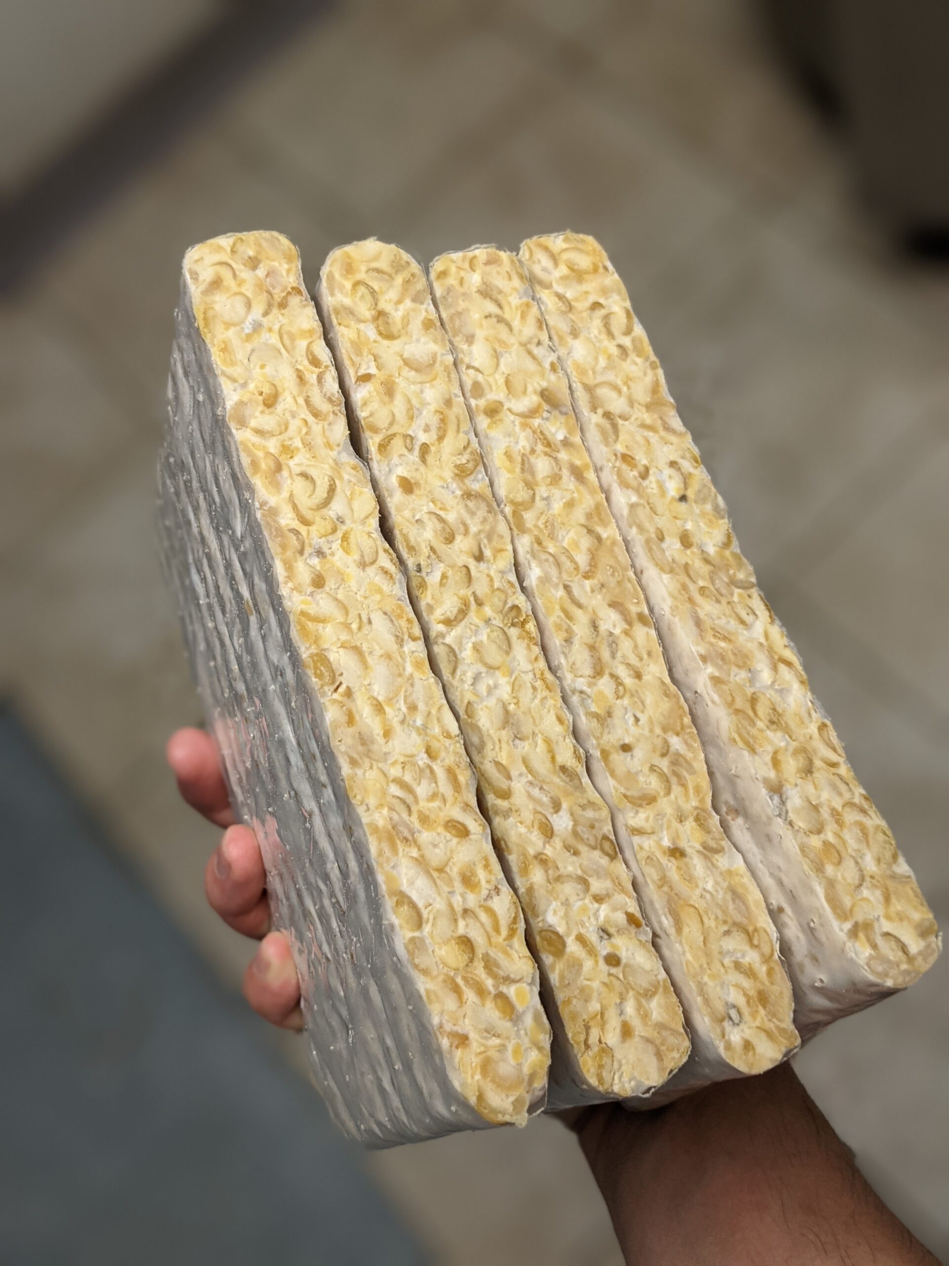 The Tempeh Shop - 10lb Tempeh Variety Pack